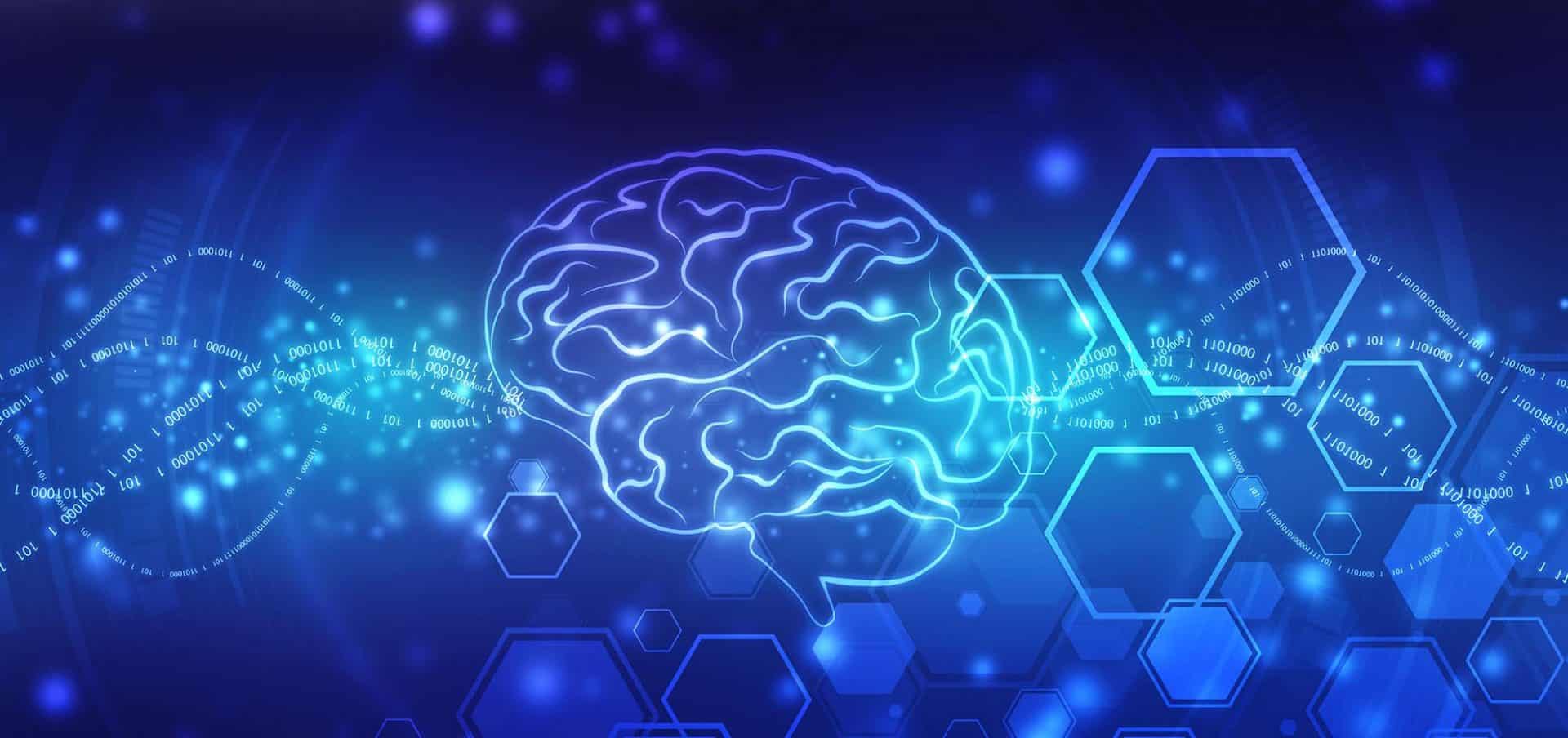 Brain And Mental Health Content By AmenClinics - DocChristine Coaching Inc.